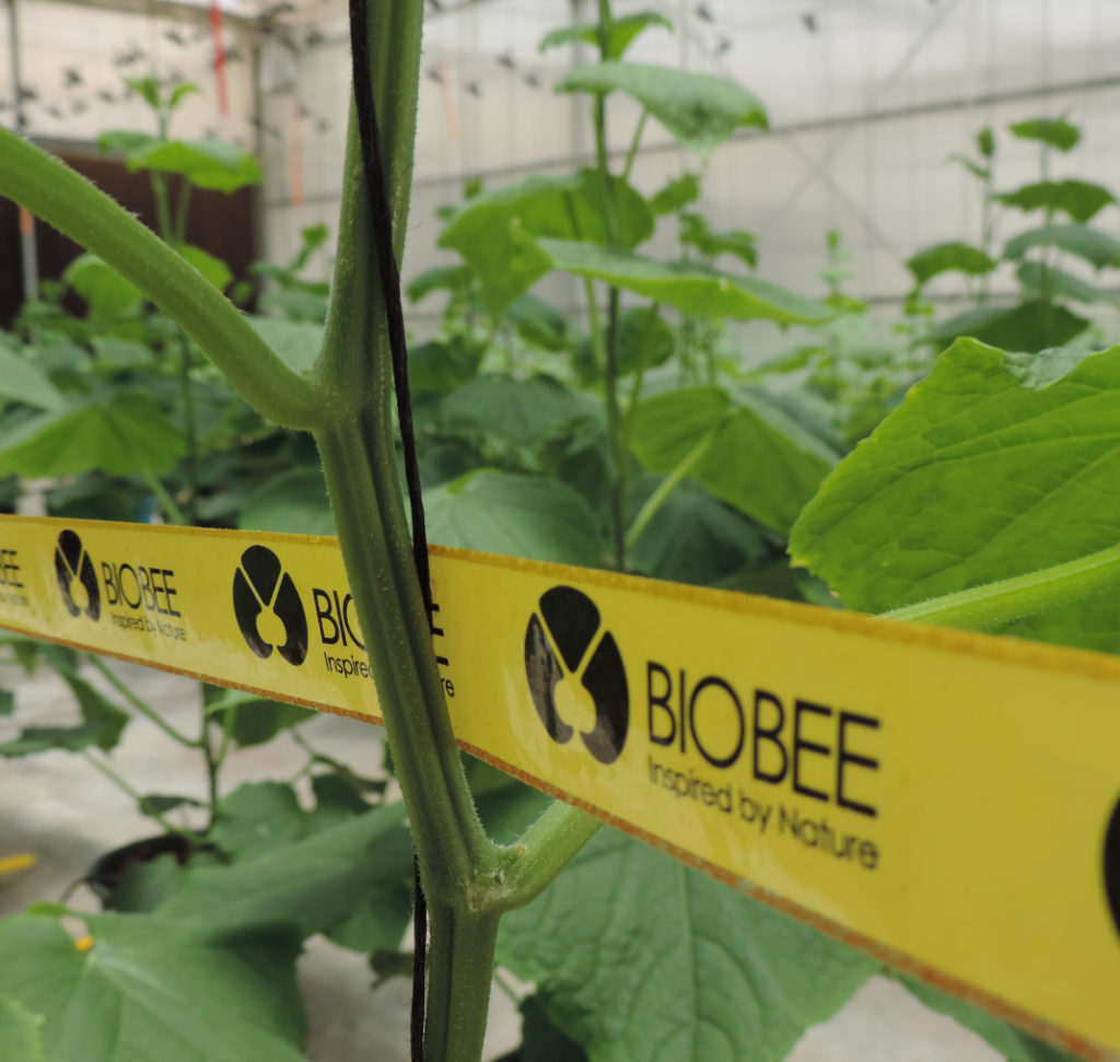 מאמרים Archives - ביו בי ישראל